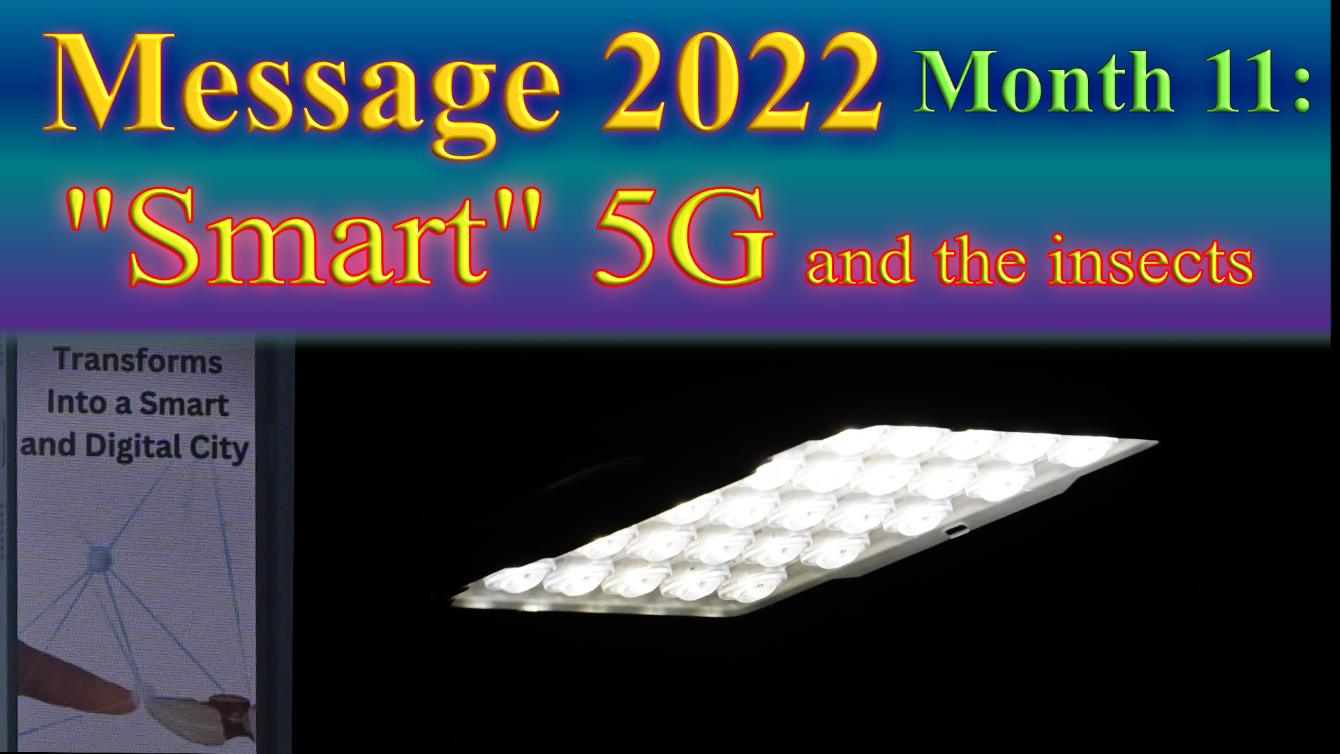 Message 2022/11 ″Smart″ 5G and the insects - Bindernowski